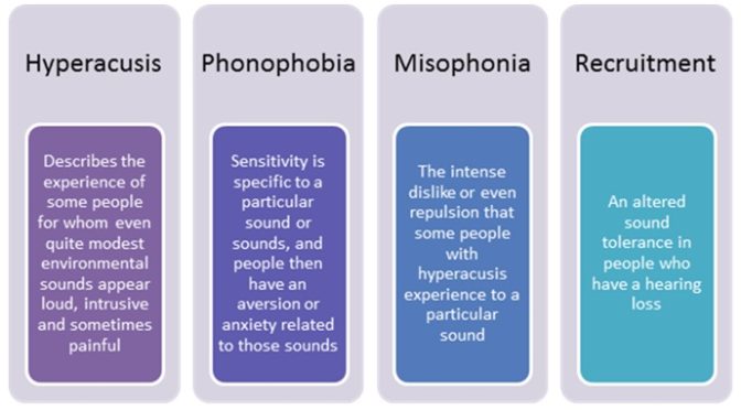 Hyperacusis | Henry Brewer